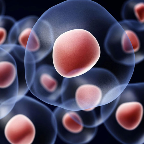 Trang chủ - Future Clinic